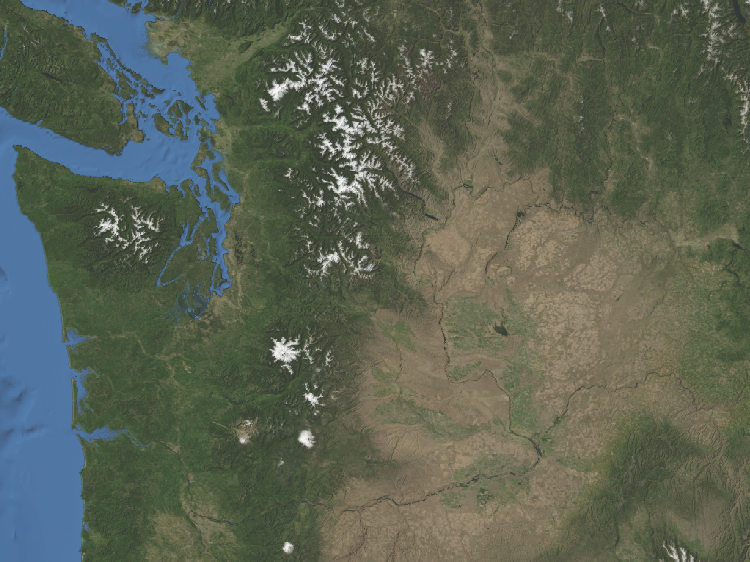 Washington Current Satellite - WeatherForYou.com